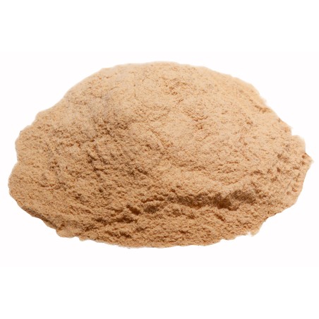 Cauliflower Powder | Wholesale Vegetable Powders