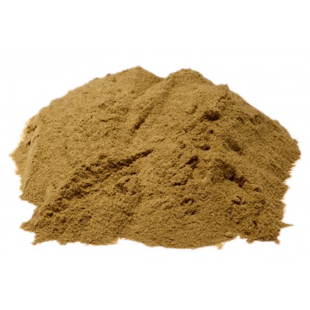 Ground Parsley - Herbs & Spices | Bulkfoods.com