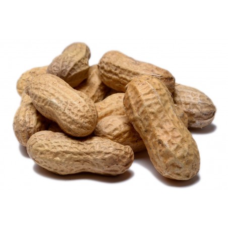 In Shell Peanuts | Bulkfoods.com