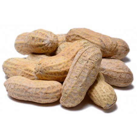 In Shell Peanuts | Roasted and Salted