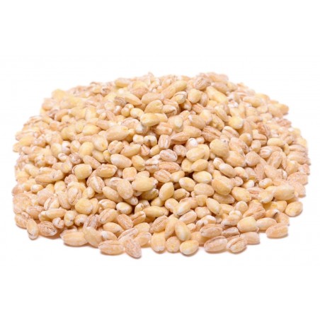 Pearled Barley | Bulkfoods.com