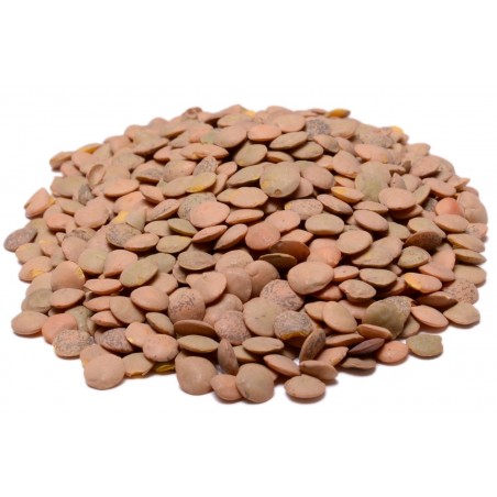 Green Lentils | Bulkfoods.com
