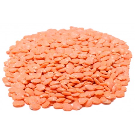 Red Lentils | Bulkfoods.com