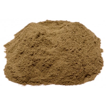 Ground Basil - Herbs & Spices | Bulkfoods.com