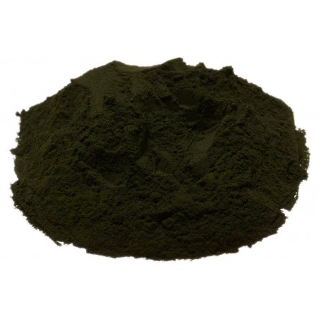 Chlorella Powder | Bulkfoods.com